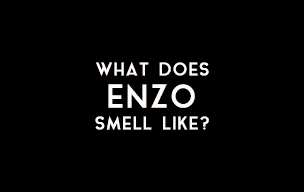 Enzo by XIX Eau De Parfum - 100Ml – Ascent